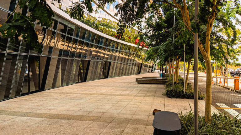 WSTC – Washington Soares Trade Center